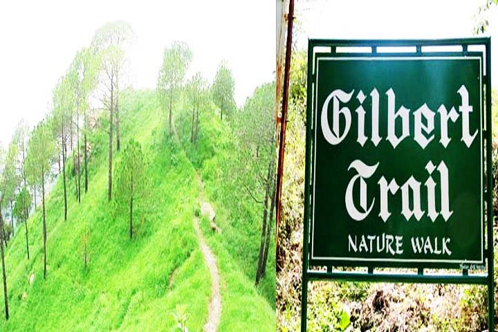 Offbeat Places|Homestays|Gilbert Nature Trail Places To Visit Kasauli