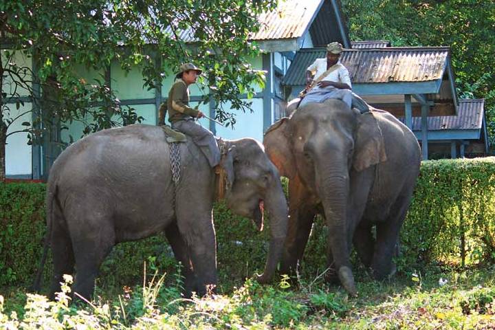 (2024) 3 Top Tourist Places & Offbeat Places In Changlang