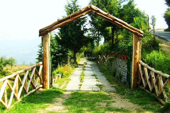 (2024) Top Tourist Places & Offbeat Places In Dhanachuli