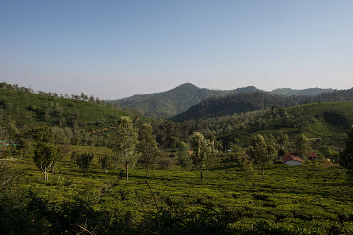 (2024) Top Tourist Places & Offbeat Places In Basia