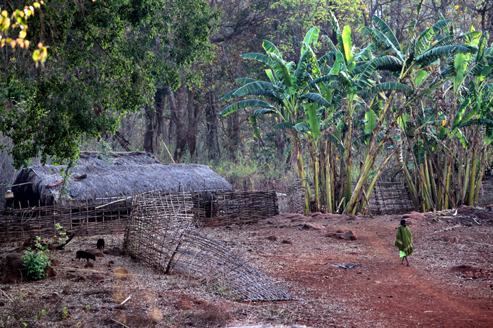 (2024) Top Tourist Places & Offbeat Places In DABHARA