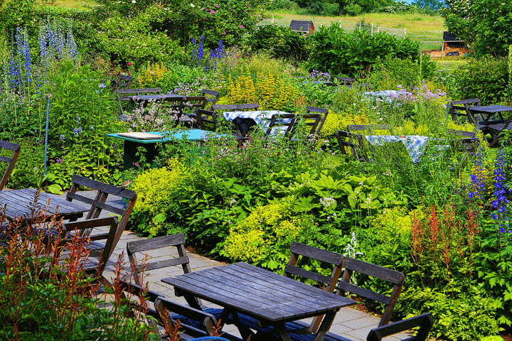 (2024) Top Tourist Places & Offbeat Places In Daltonganj