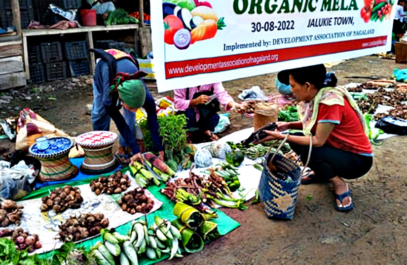 (2024) 4 Top Tourist Places & Offbeat Places In Jalukie