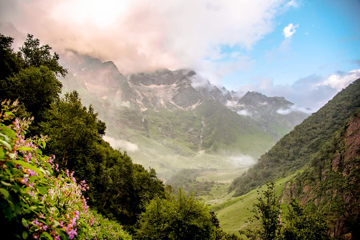 Offbeat Places|Homestays|Valley of Flowers National Park Places To ...