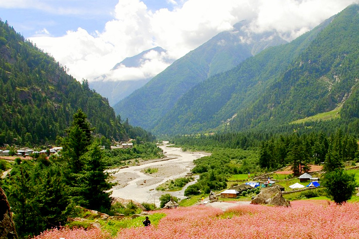 Discover The Beauty Of Sangla Meadows: A Hidden Gem In The Heart Of The ...